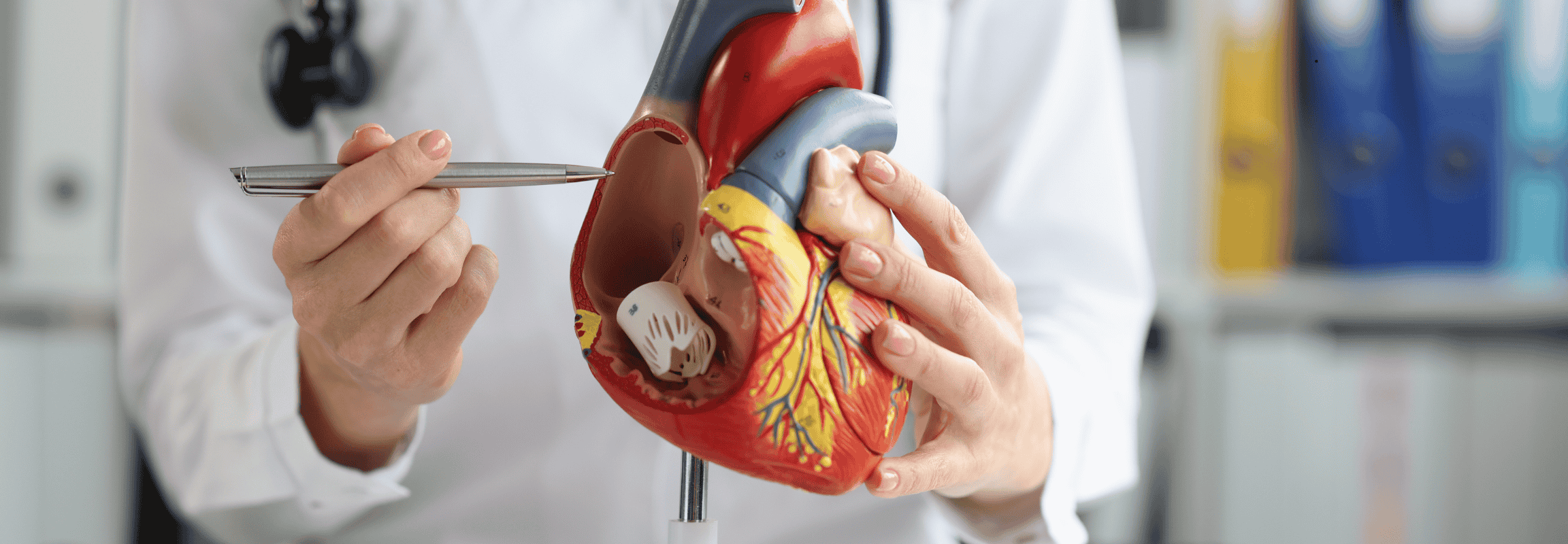 Interventional and Structural Cardiology